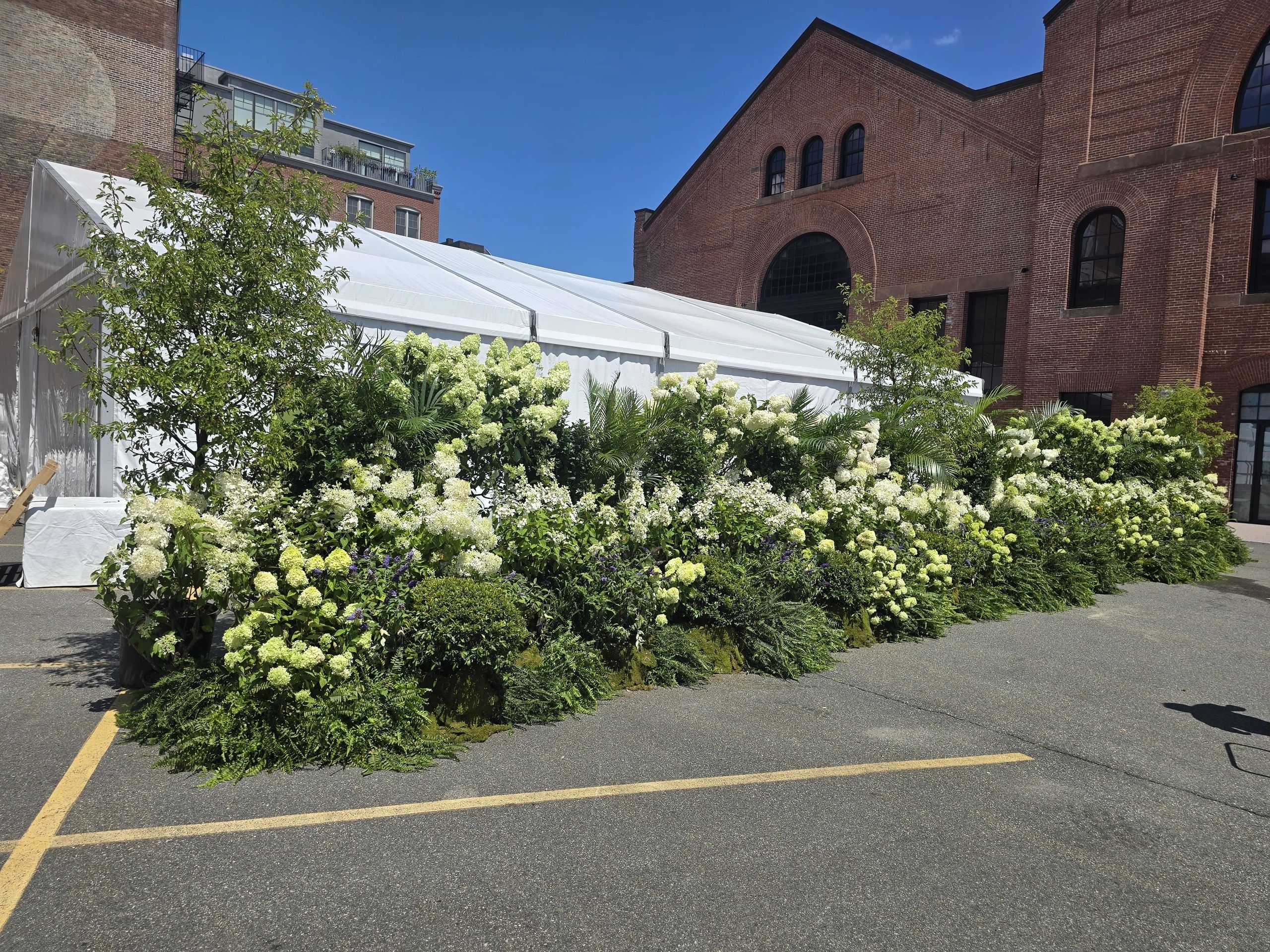 Top Plant Rental Company in Boston